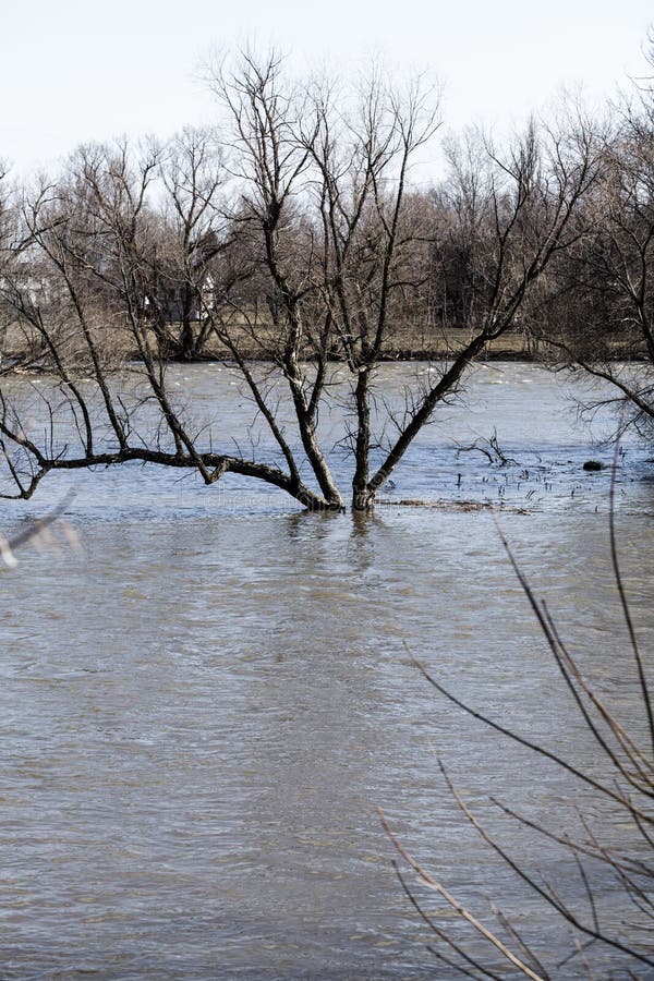Flooding Scene with River and a Tree in the Middle Stock Photo - Image ...