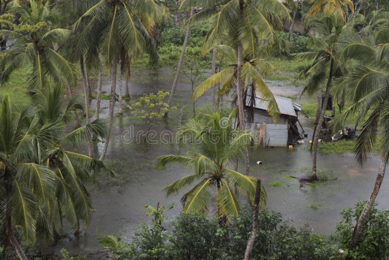 Flooding on a Small Patch of Land with Coconut Trees Stock Image ...