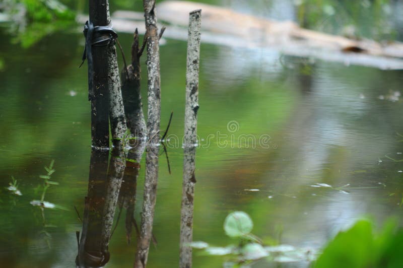A flooding of water stock image. Image of alone, water - 154892397
