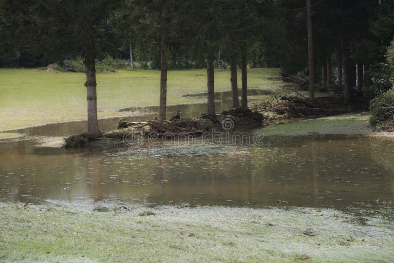 A Floodplain after Heavy Rainfalls Stock Image - Image of days ...