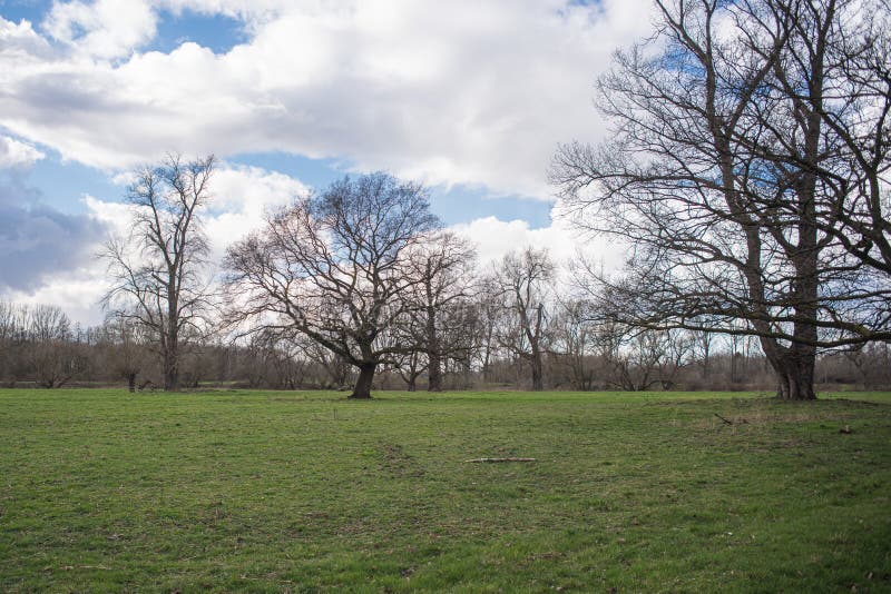 Floodplain in a Snowless Winter. View Over the Meadows with Bare Trees ...