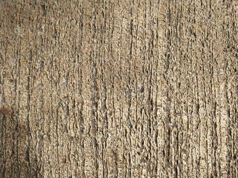 Floor Cast Using Broom Stick Pattern Stock Photo - Image of cast, stick ...