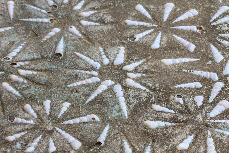 Floor Concrete with Sea Shells Contains Stock Image - Image of design ...