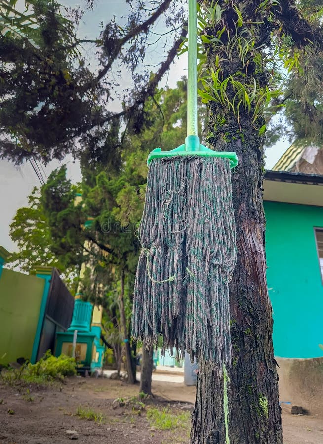 Floor Mop Hanging on a Tree Stock Photo - Image of tree, tool: 343531856