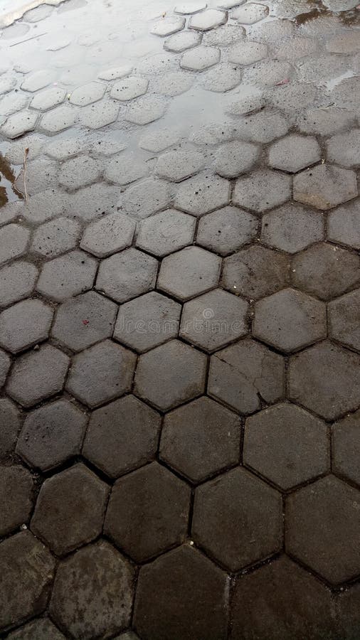 Floor Outside the House Made of Hexagon Shaped Cement Bricks Stock ...