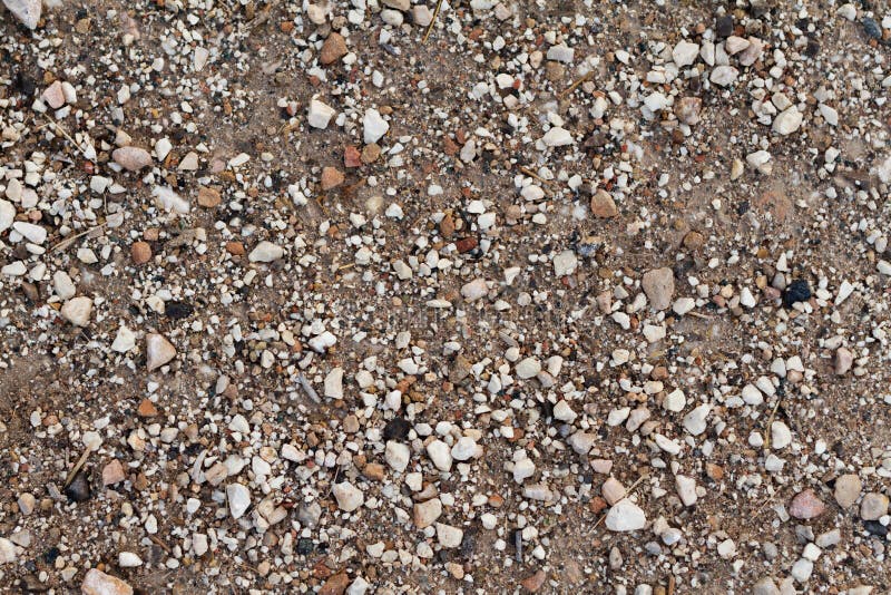 Floor Park Texture stock photo. Image of textured, rock - 196756166