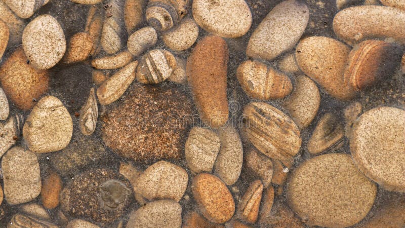 Floor Tiles with Stone Motifs Stock Photo - Image of texture, material ...