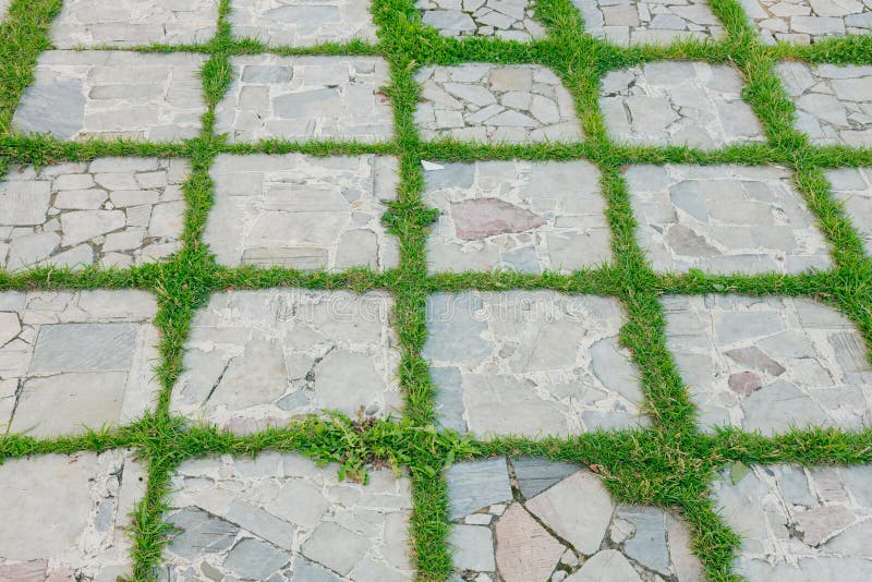 Flooring in the Backyard, Natural Grass Growing Inbetween Stone Tiles ...