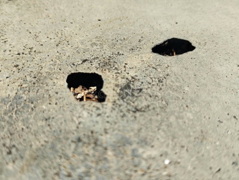 Floors with Holes Due To Poor Workmanship Stock Photo - Image of animal ...