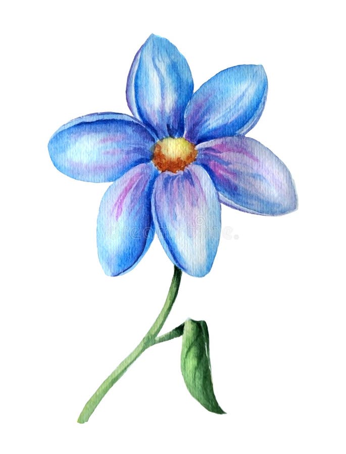 Flor Azul De La Acuarela La Hermosa Stock de ilustración - Ilustración ...