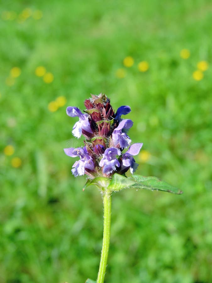Textura Azul Hermosa De La Superficie De La Tela Foto de archivo ...