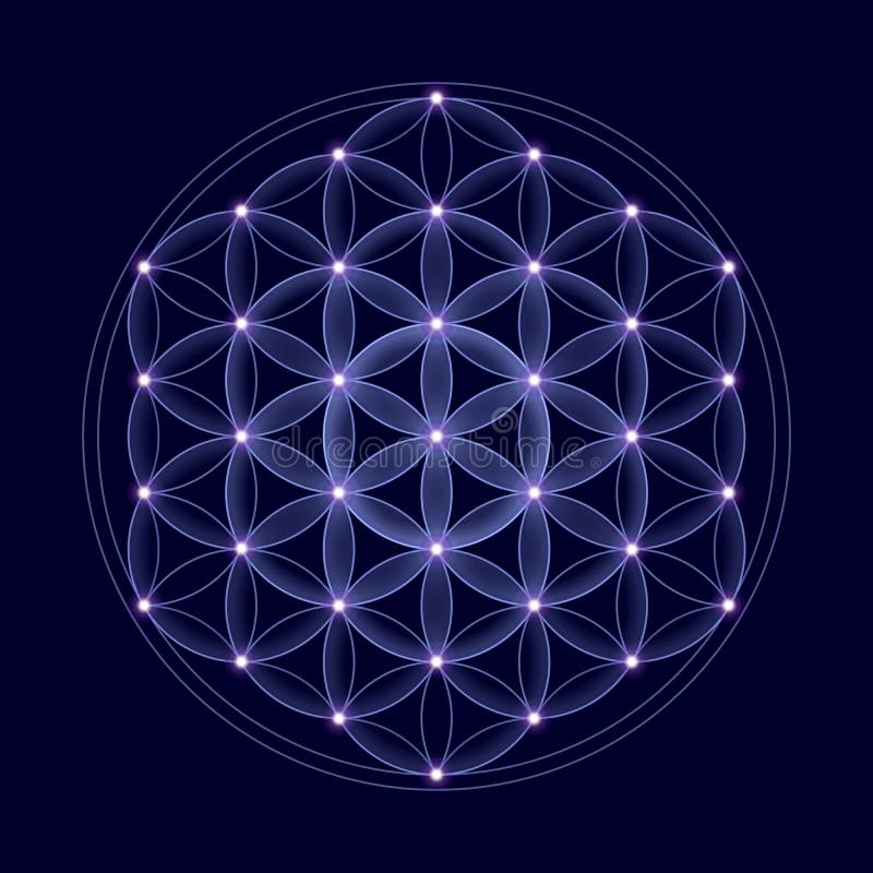 Flor Da Vida Colorida No Fundo Preto Ilustração do Vetor - Ilustração ...