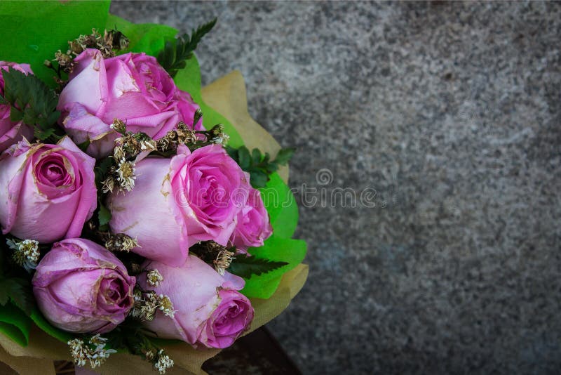 Flor Color De Rosa Del Color De Rosa Foto de archivo - Imagen de flor ...