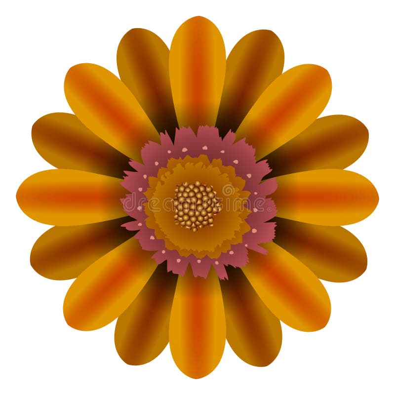 Flor coloreada aislada stock de ilustración. Ilustración de flor - 94821694