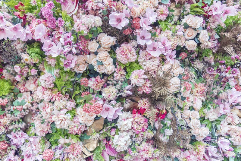 Flor colorida imagen de archivo. Imagen de hermoso, primer - 127603637