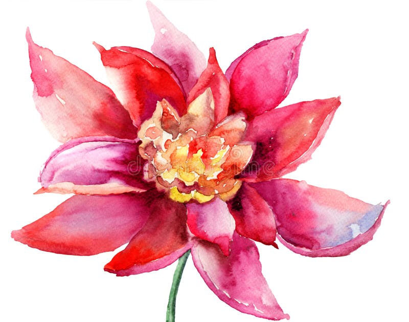 Flor colorida hermosa stock de ilustración. Ilustración de pintura ...