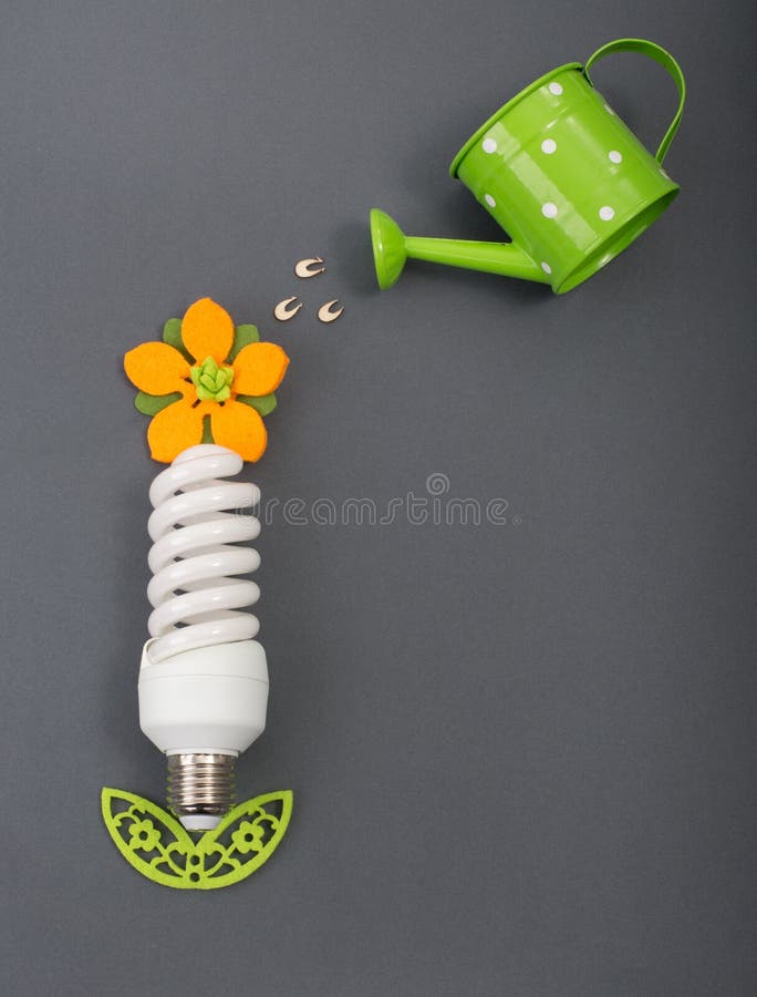 Flor Con El Bulbo Del Eco Como Tallo Imagen de archivo - Imagen de ...