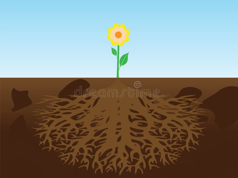 Flor con la raíz aislada ilustración del vector. Ilustración de vector ...