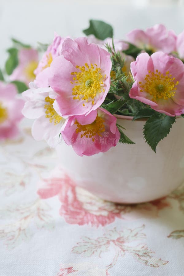 Flor Cor-de-rosa Delicada No Copo Cor-de-rosa Imagem de Stock - Imagem ...
