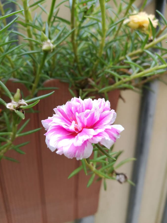 {número} Fotos de Stock de {palavra-chave} - Fotos de Stock Gratuitas e ...