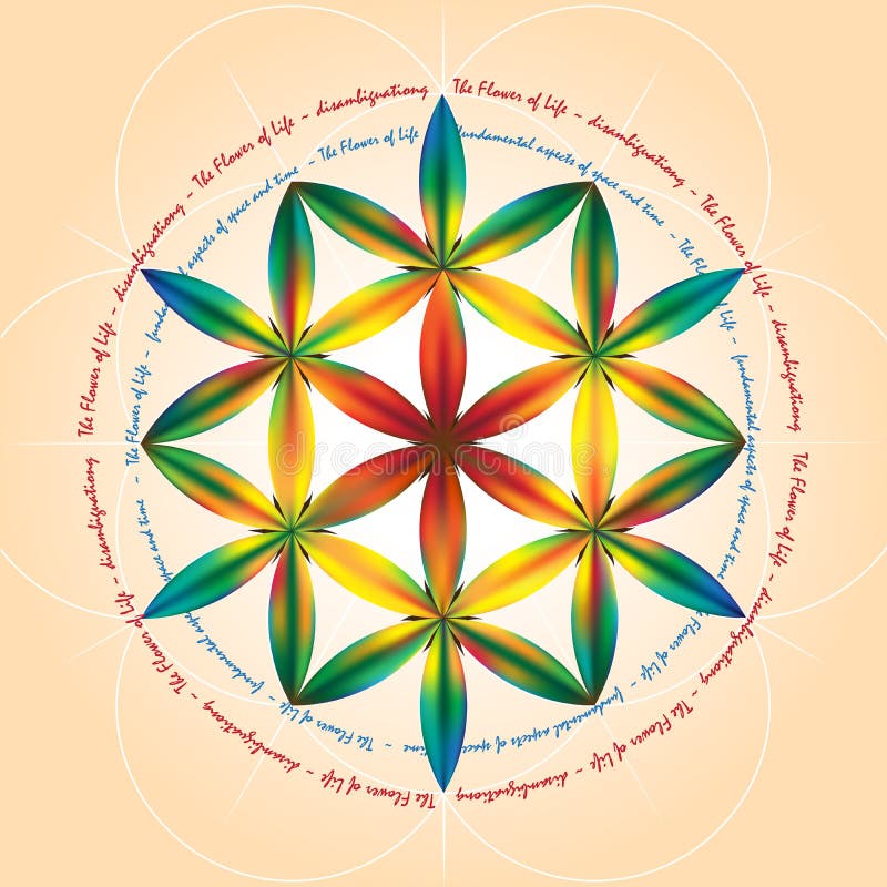 Flor da vida ilustração do vetor. Ilustração de geometria - 51887904