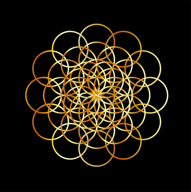 Flor Dourada Da Vida No Fundo Preto Ilustração Stock Ilustração De Mandala Brilho 62530552