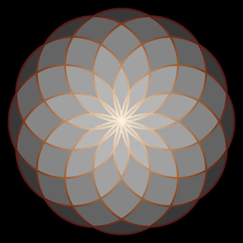 Flor Da Vida Geometria Sagrado Ilustração do Vetor - Ilustração de buda ...