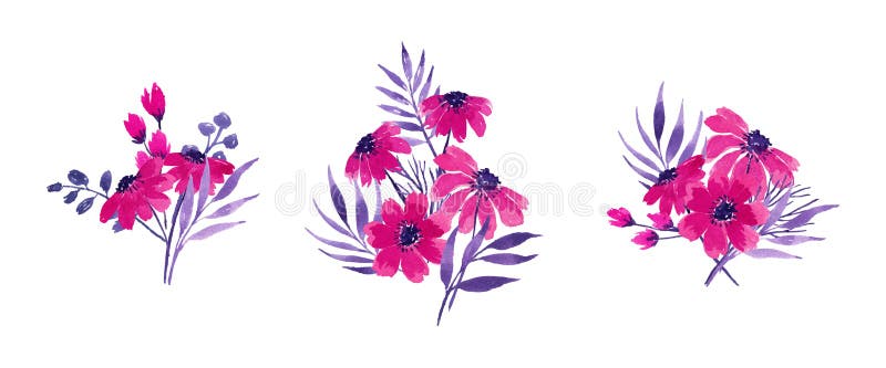Ejemplo a Mano De La Acuarela Fucsia Flores Hermosas En Un Blanco Stock ... Ejemplo a Mano De La Acuarela Fucsia Flores Hermosas En Un Blanco Stock ...