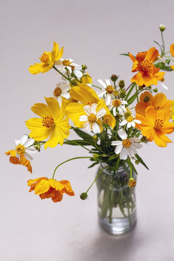 Flor de Bouquet no pote foto de stock. Imagem de vaso - 164356972