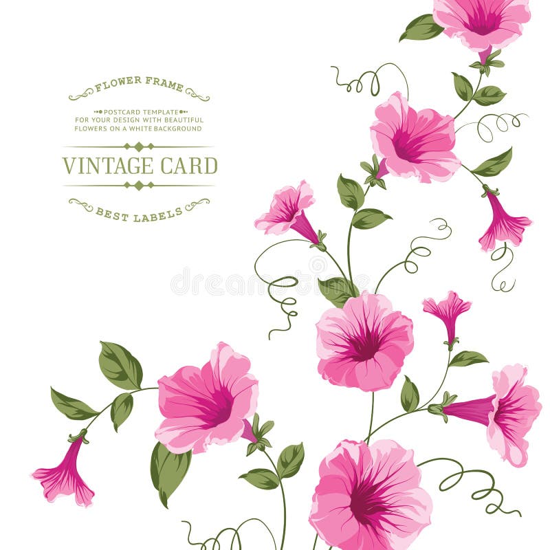 Flor De La Enredadera En El Papel Ilustración del Vector - Ilustración ...