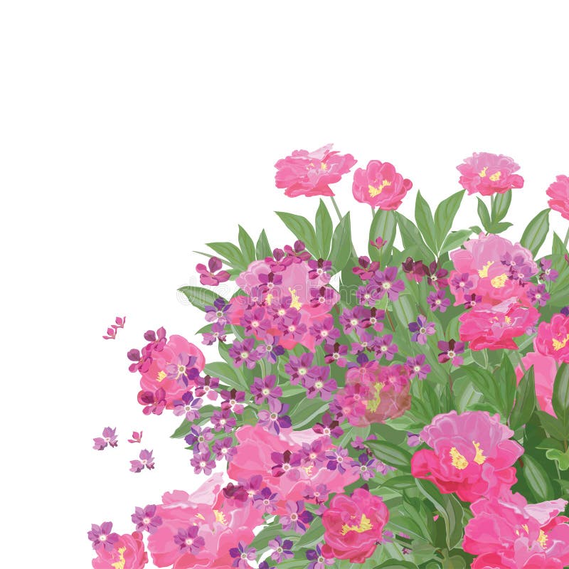 Flor de la felicidad ilustración del vector. Ilustración de rosa - 26682363