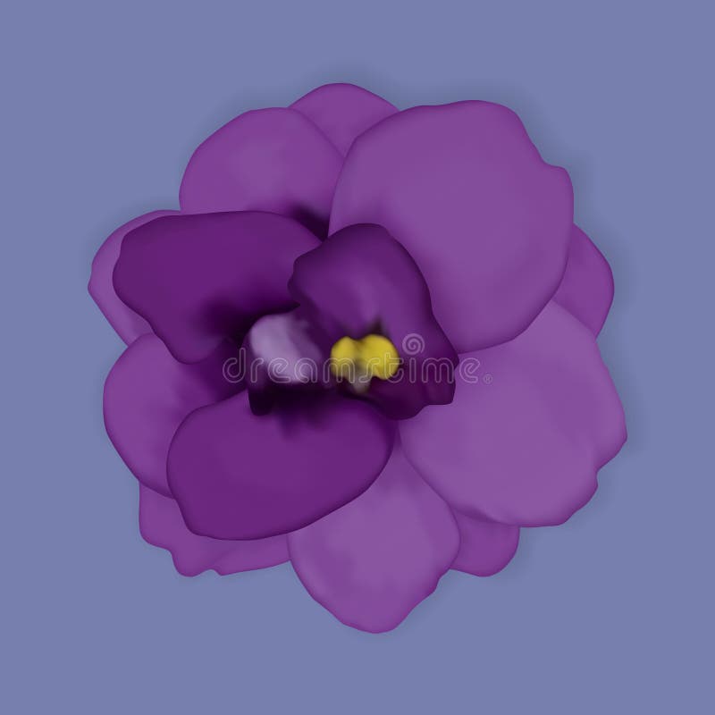 Flor De La Violeta Del Vector Ilustración del Vector - Ilustración de ...