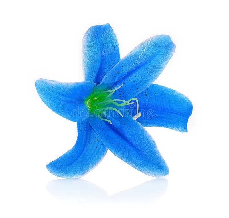 Flor De Lilo Artificial Aislada En Un Fondo Blanco Foto de archivo ...