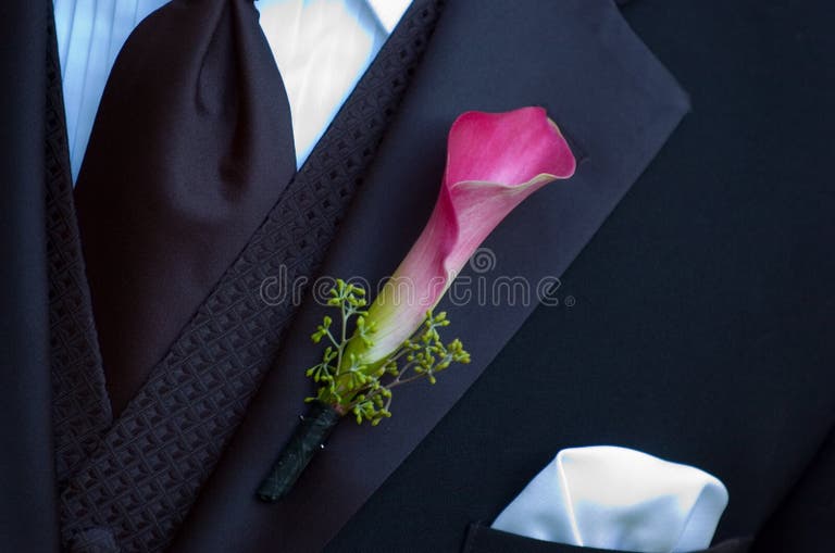 Flor de los novios imagen de archivo. Imagen de planta - 1094367