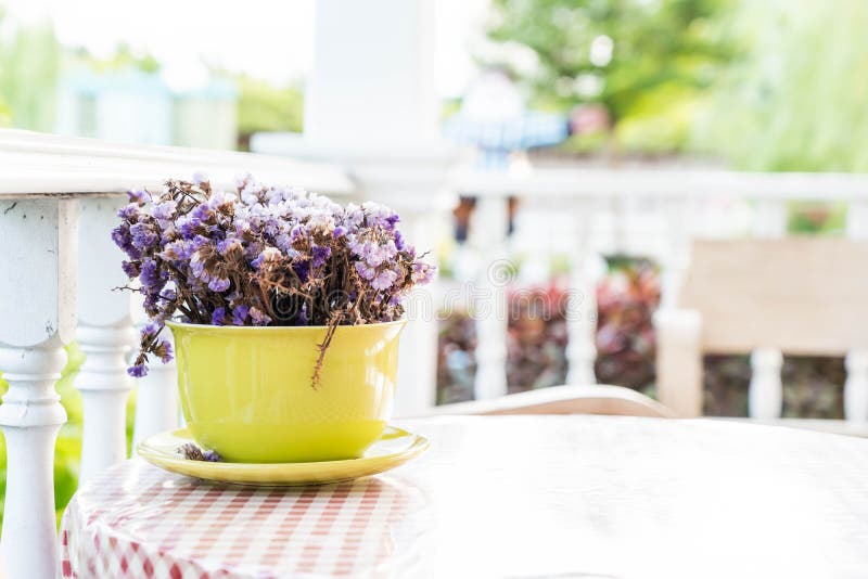 Flor de los statis en pote foto de archivo. Imagen de crisol - 107933126