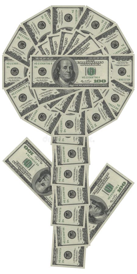 Flor del dólar stock de ilustración. Ilustración de verde - 5040382