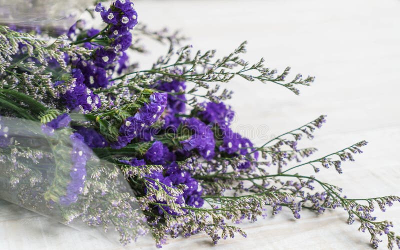 Flor De Los Statis En Florero Imagen de archivo - Imagen de verde, ramo ...