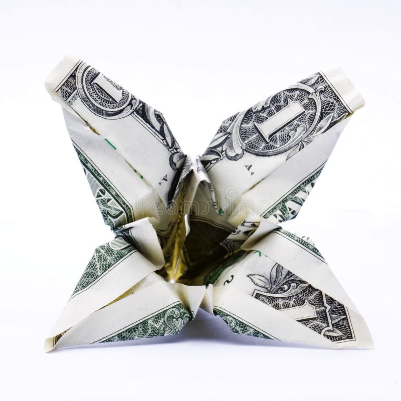 Flor Do Dinheiro Fotos De Stock - Baixe 7,622 Fotos Royalty Free