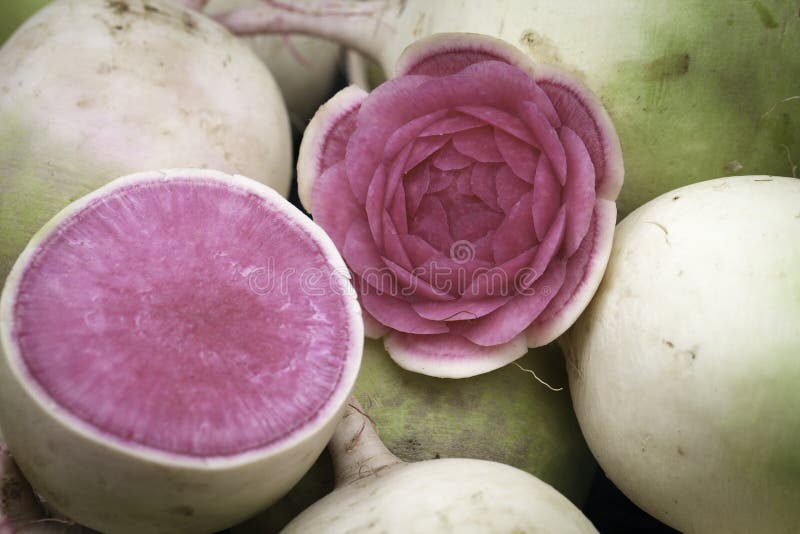 Flor de rabanete foto de stock. Imagem de arte, agricultura - 32258916
