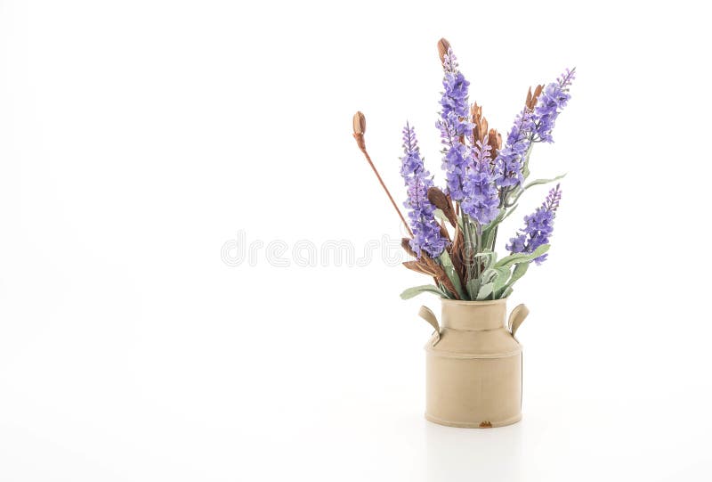 Flor Do Statice E Do Caspia No Vaso Foto de Stock - Imagem de bonito ...