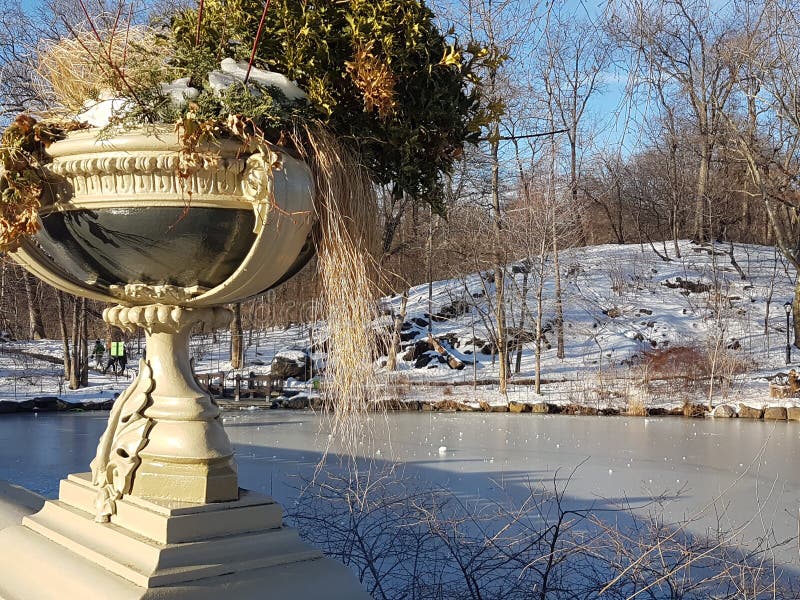 Flor En El Parque Central De Nueva York Foto de archivo - Imagen de ...