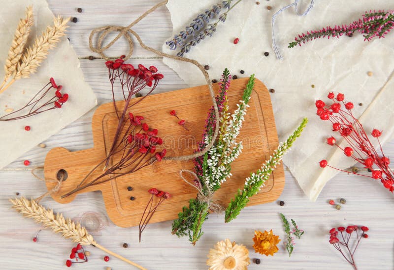 Flor seco imagen de archivo. Imagen de fondo, rojo, plantas - 63597401