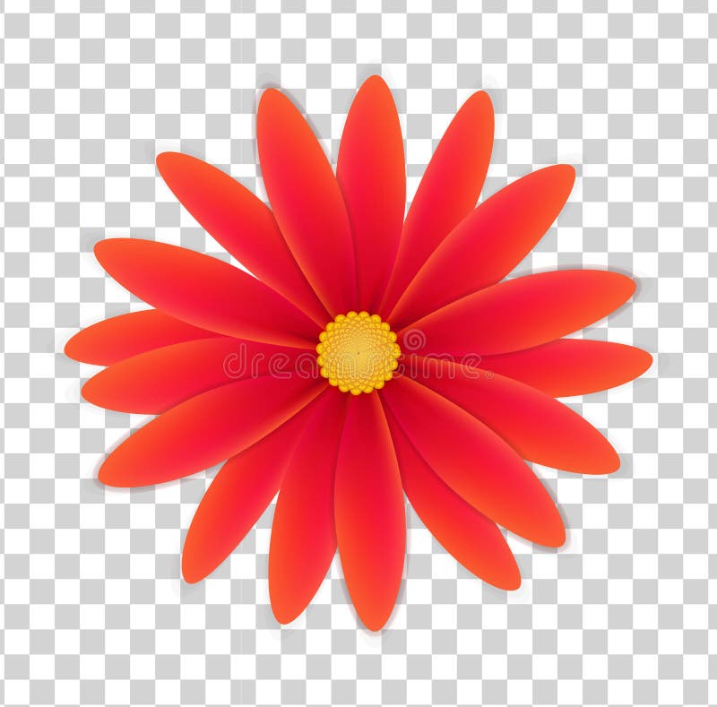 Flor Simple En Un Fondo Transparente Ilustración del Vector ...
