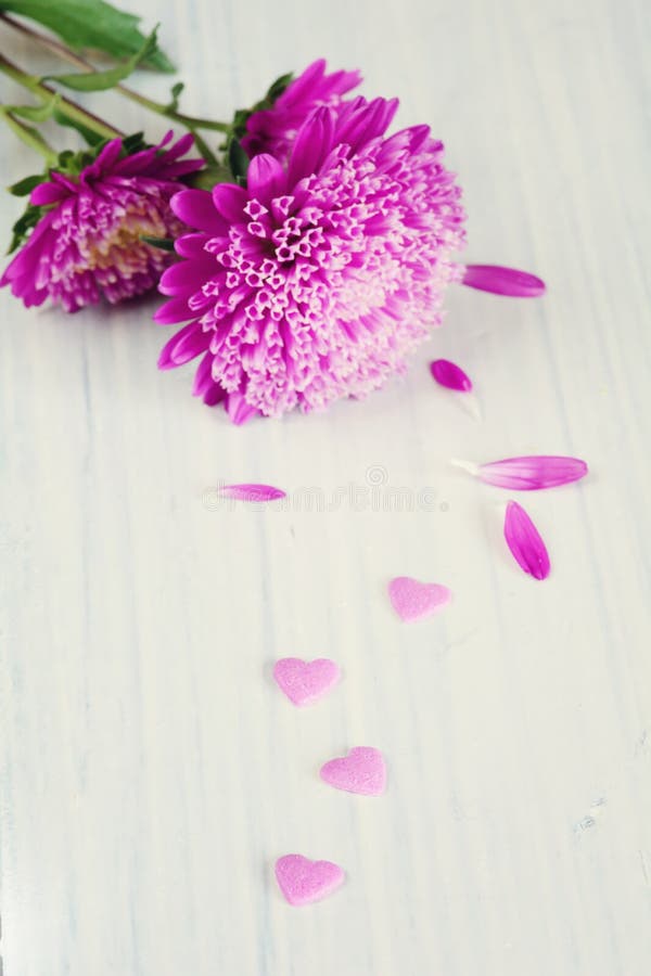 Flor y corazones rosados imagen de archivo. Imagen de espacio - 33907769