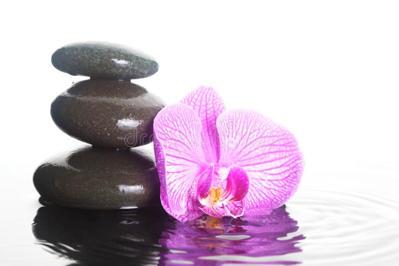 Flor y piedras en agua imagen de archivo. Imagen de estabilidad - 38259629