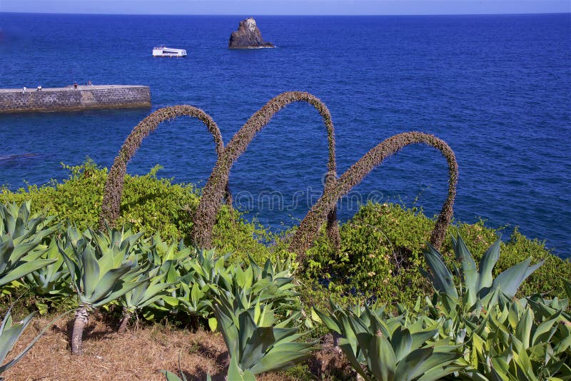Flora of Madeira, Portugal stock image. Image of flora - 96351931