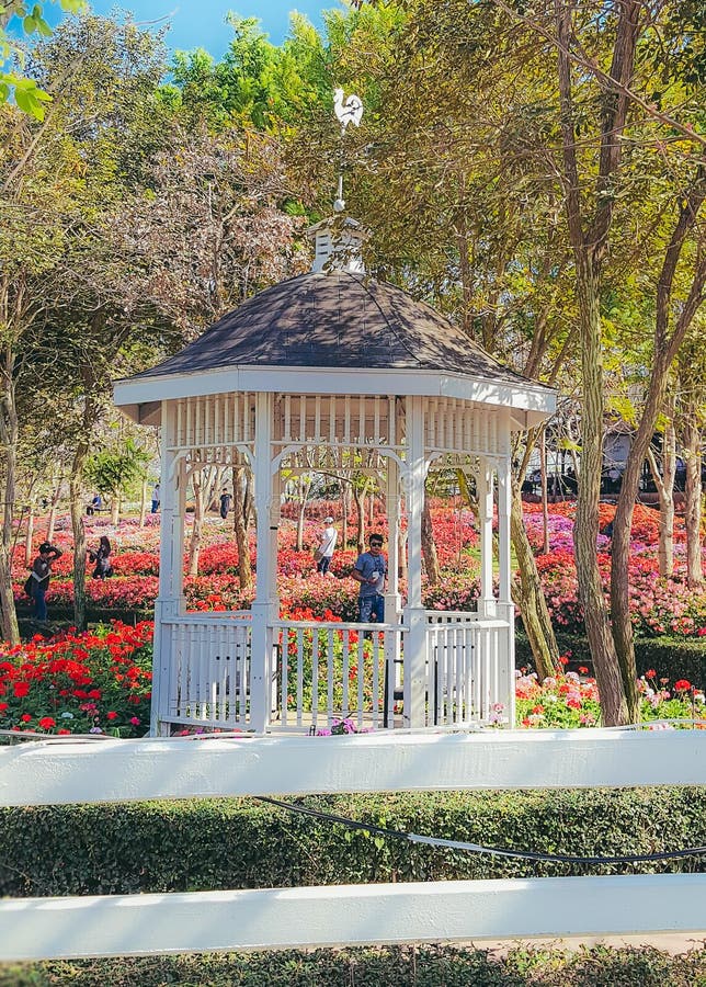 Flora Park editorial image. Image of color, park, winter - 90049890