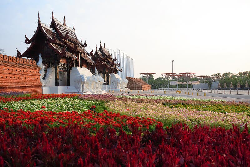 FLORA REAL RATCHAPHRUEK foto de archivo. Imagen de azul - 56707500