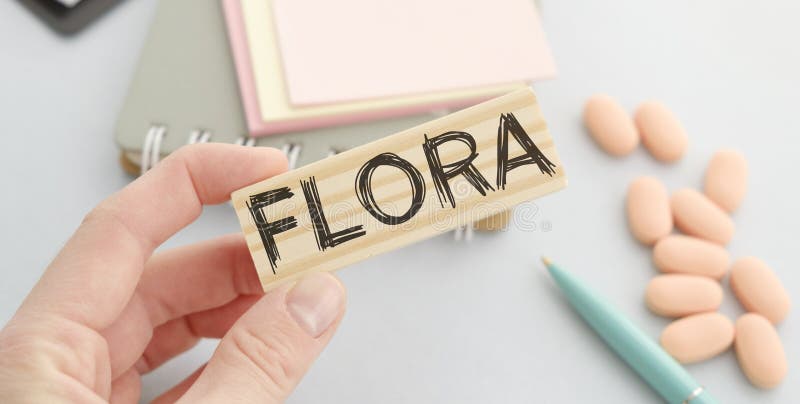 FLORA Word Made with Building Blocks Stock Image - Image of business ...