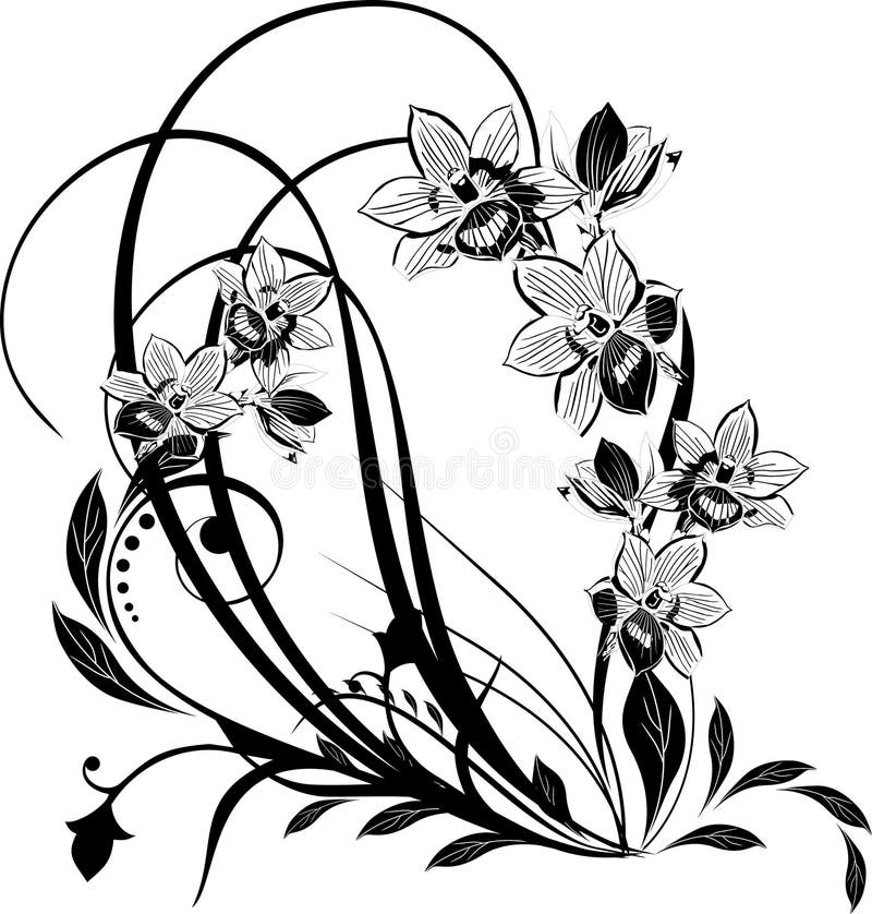 Hibiscus, Vector Illustration Stock Vector - Illustration of floral ...